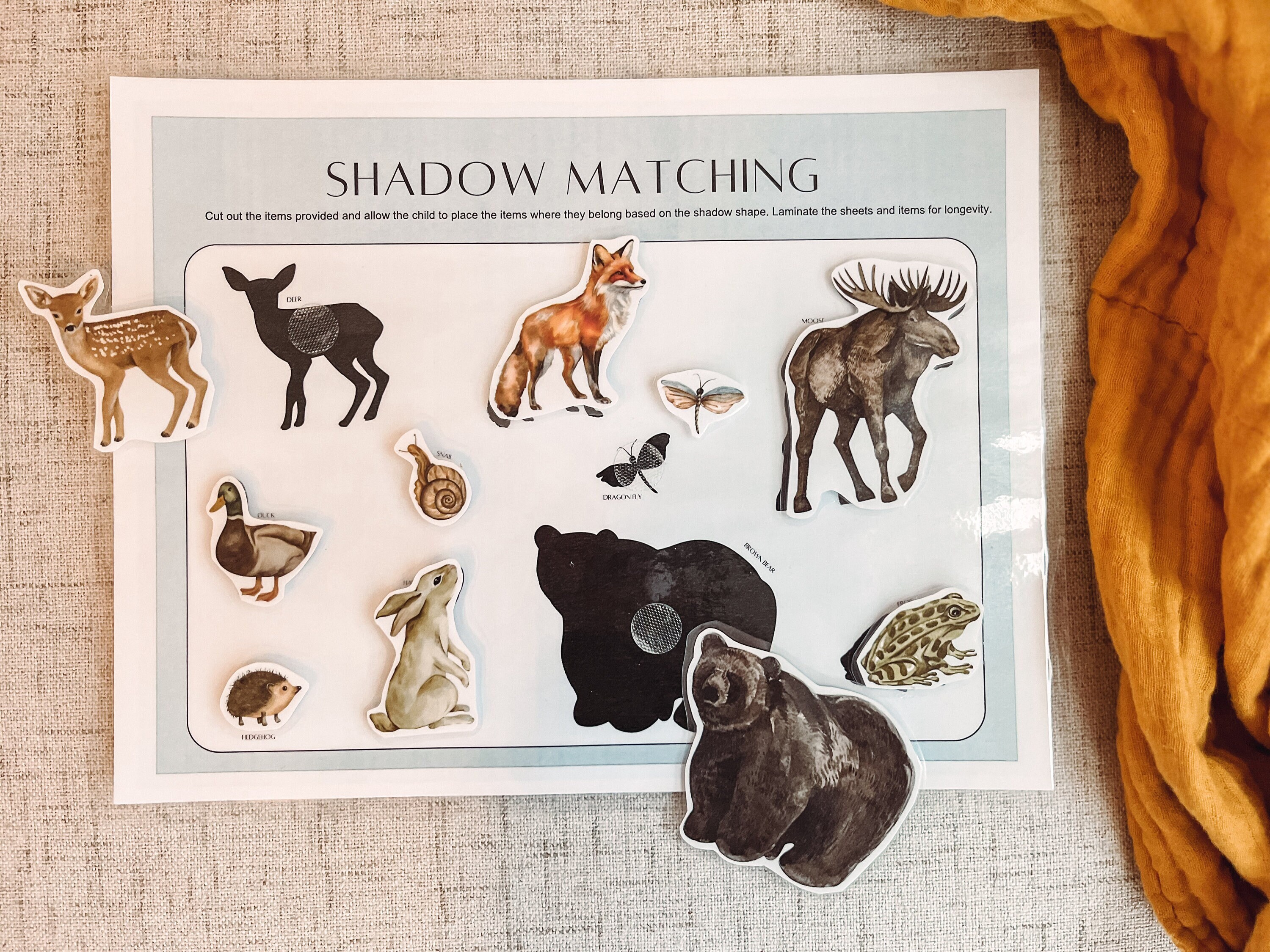 Busy Binder Insert Shadow Matching Activity Toddler and Preschooler ...