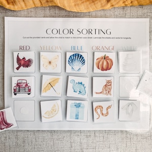 Color Sorting Activity - Busy Binder Insert - Preschool Curriculum ...