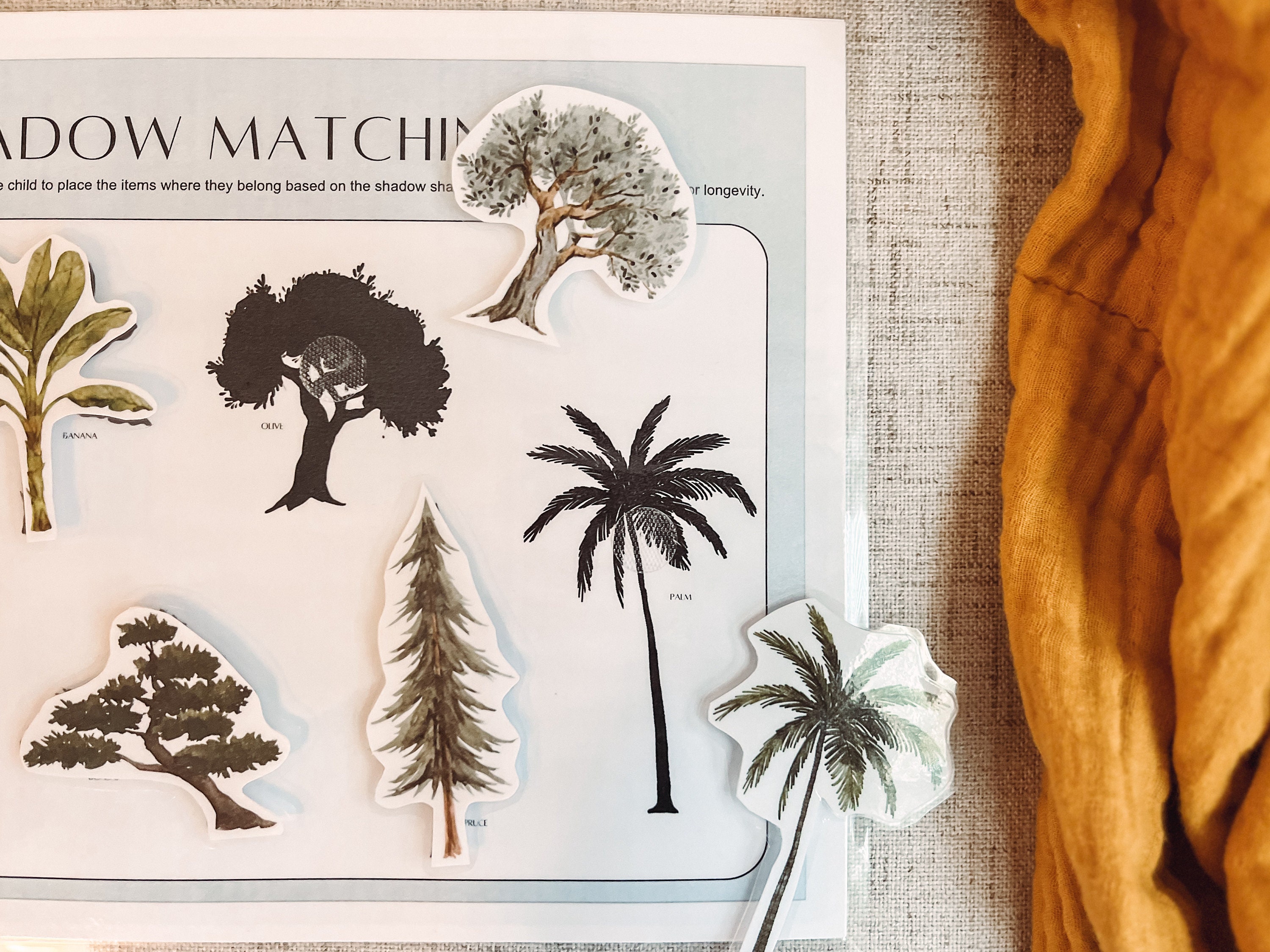 Busy Binder Insert Shadow Matching Activity Toddler and Preschooler ...