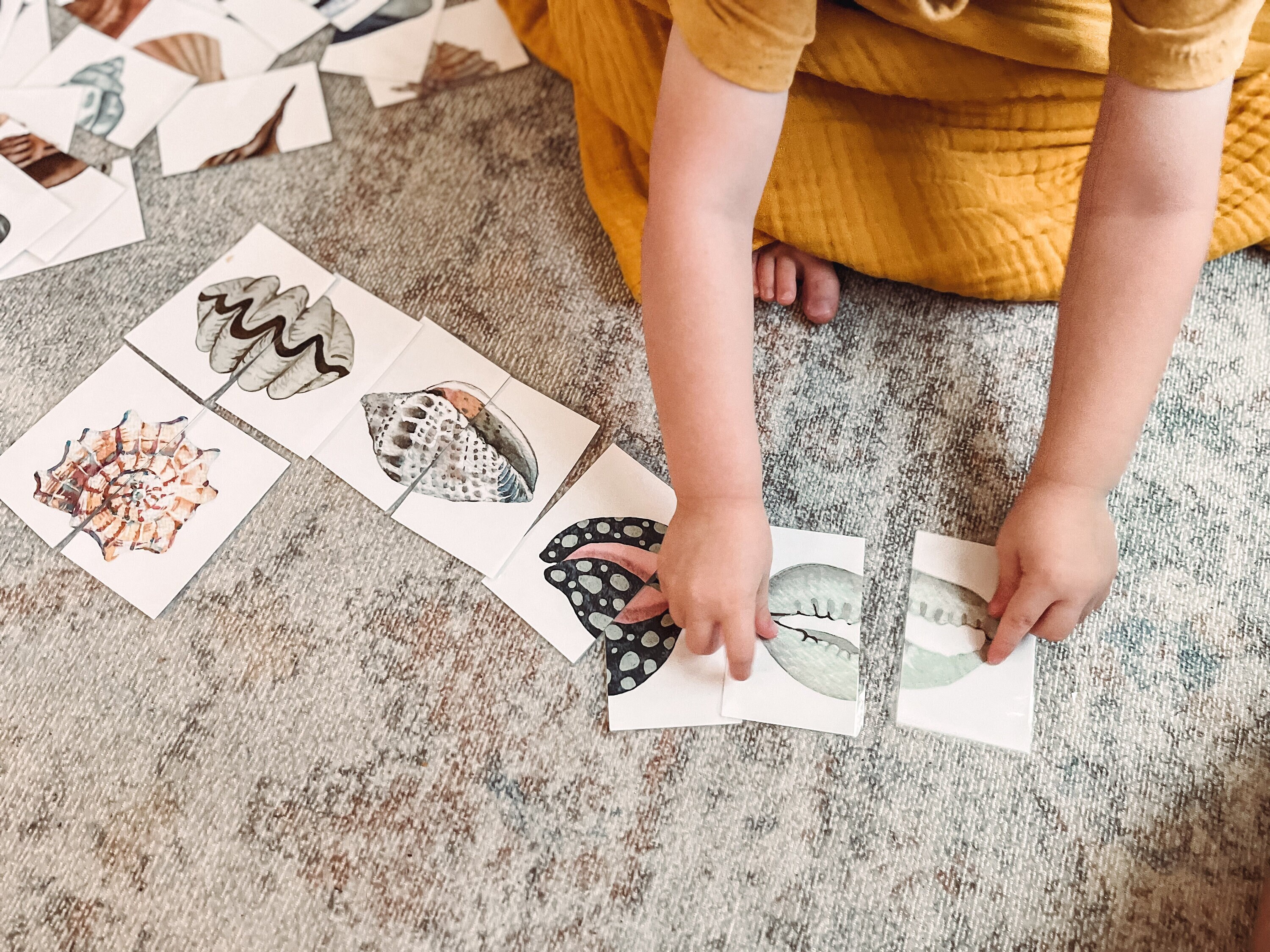 Matching Cards - Seashell Set of 20 - Toddlers Learning Game ...