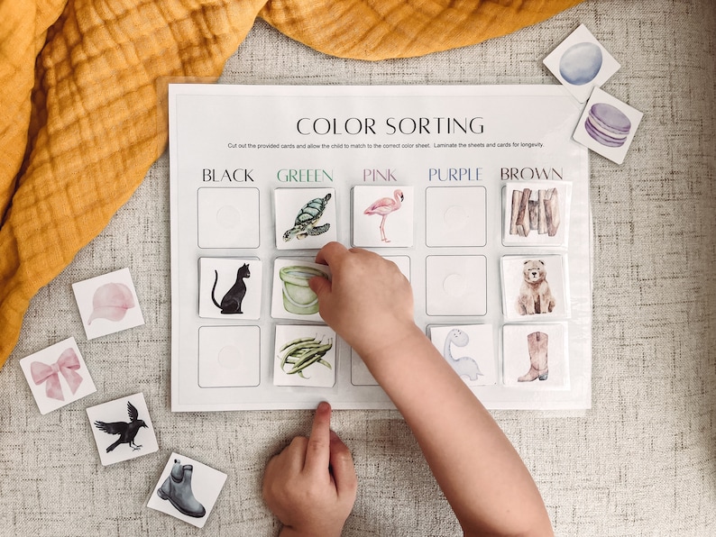 Color Sorting Activity Busy Binder Insert Preschool Curriculum ...