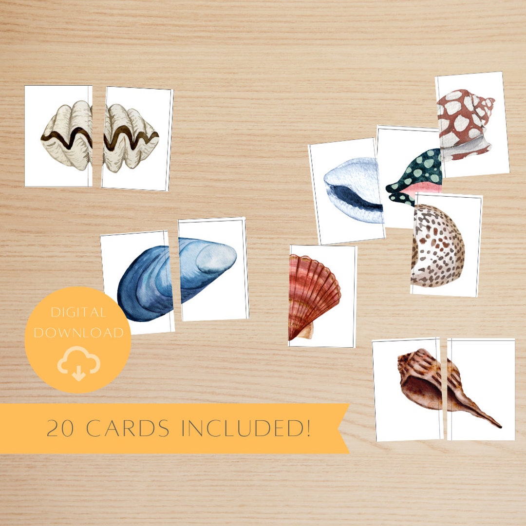20 Seashell Matching Cards Preschool Learning Toddler Practice Cut ...