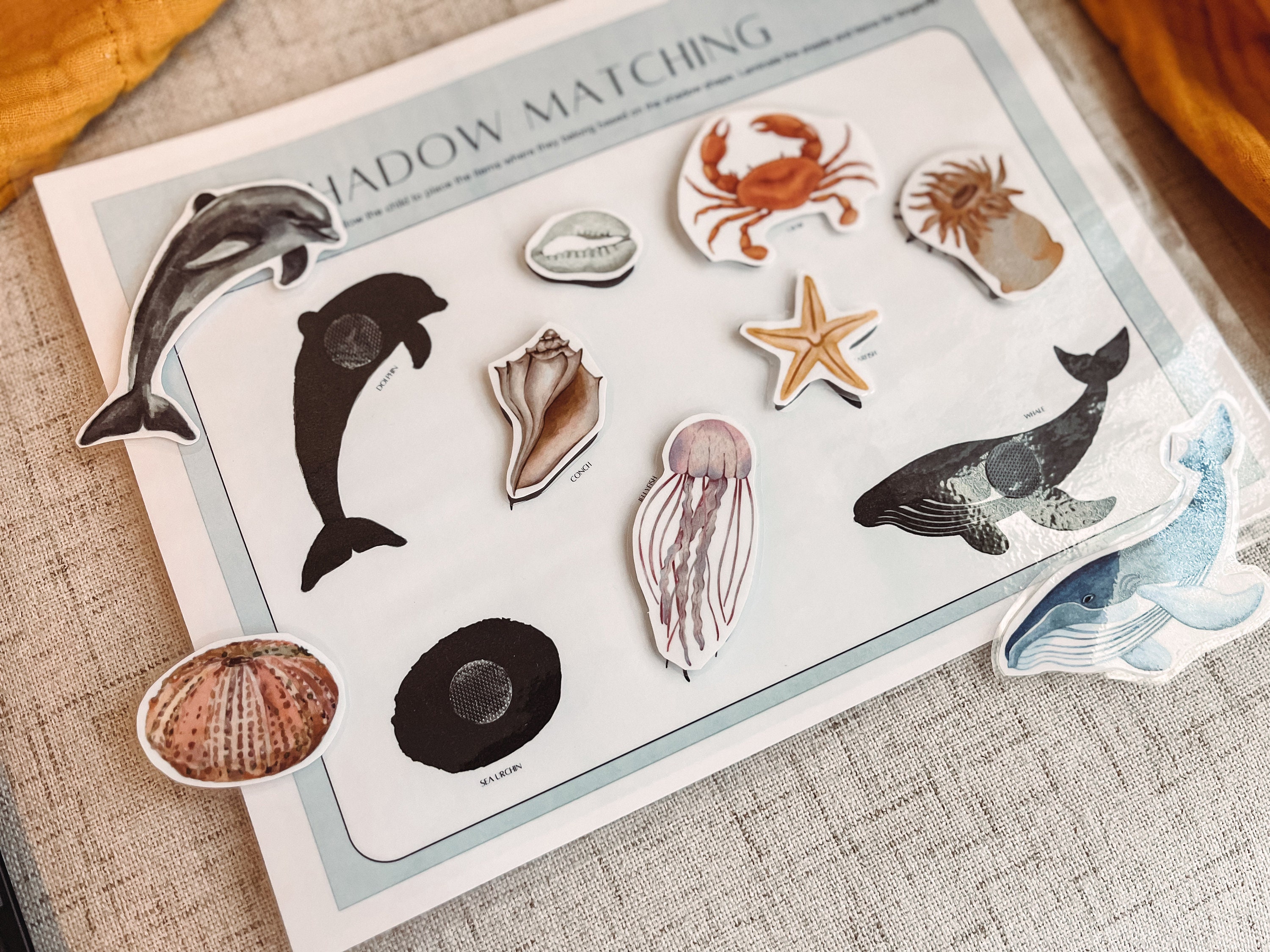 Busy Binder Insert Shadow Matching Activity Toddler and Preschooler ...