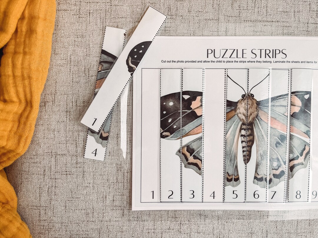 Busy Binder Insert - Puzzle Strip Counting Activity - Preschool ...