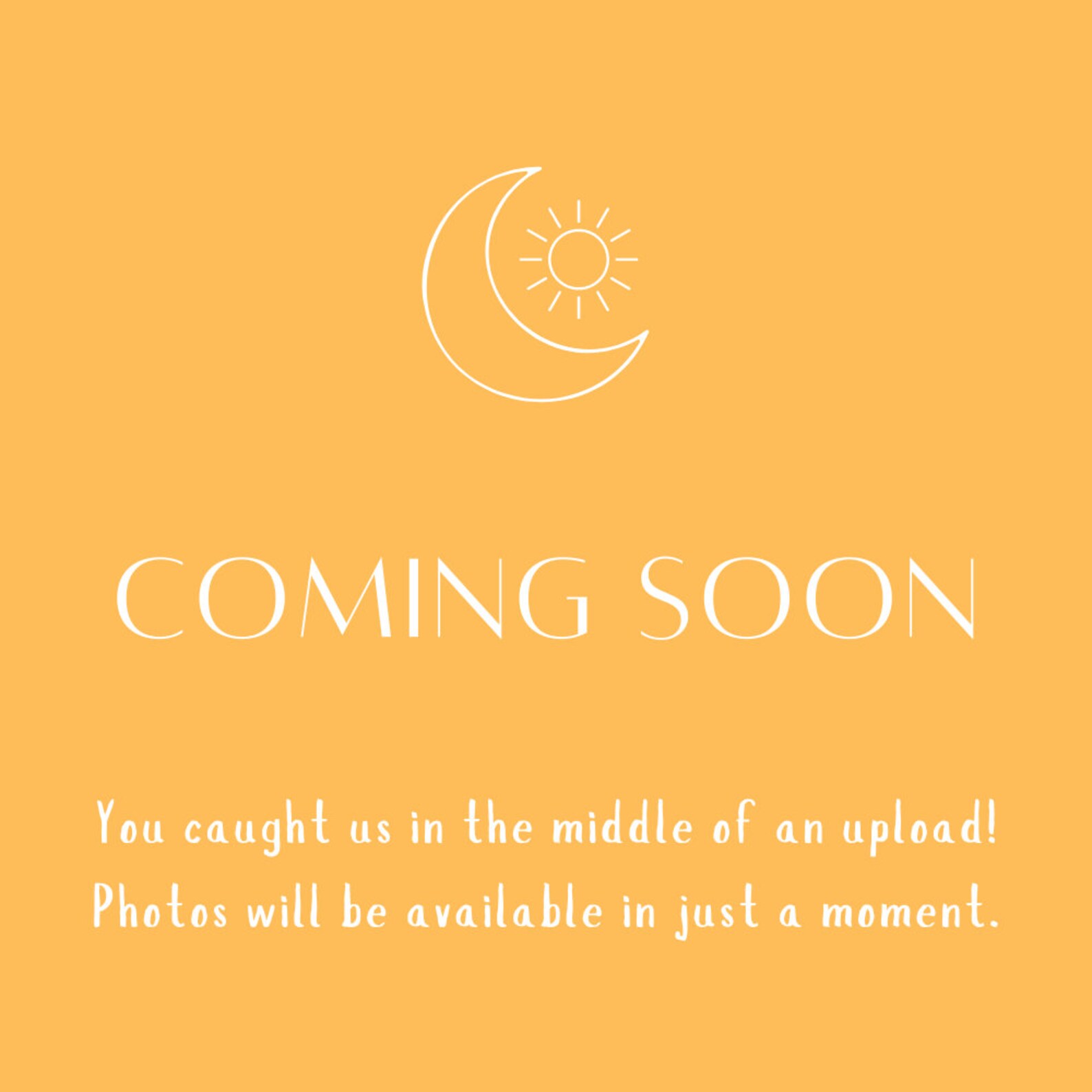 Letter C Unit Study Letter Reorganization, Writing and Counting ...