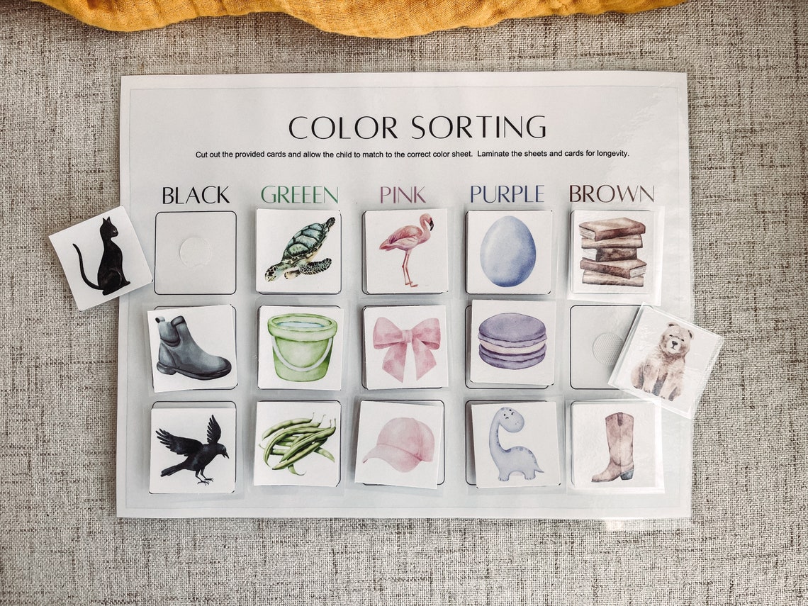 Color Sorting Activity - Busy Binder Insert - Preschool Curriculum ...