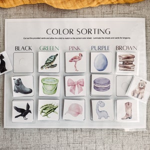 Color Sorting Activity - Busy Binder Insert - Preschool Curriculum ...