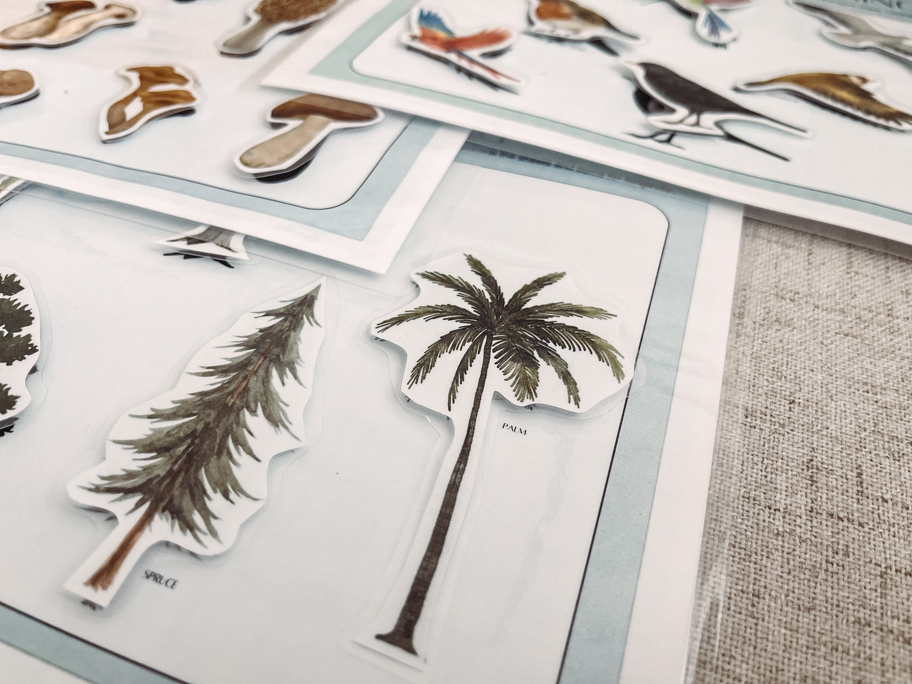 Busy Binder Insert - Shadow Matching Activity - Toddler and Preschooler ...