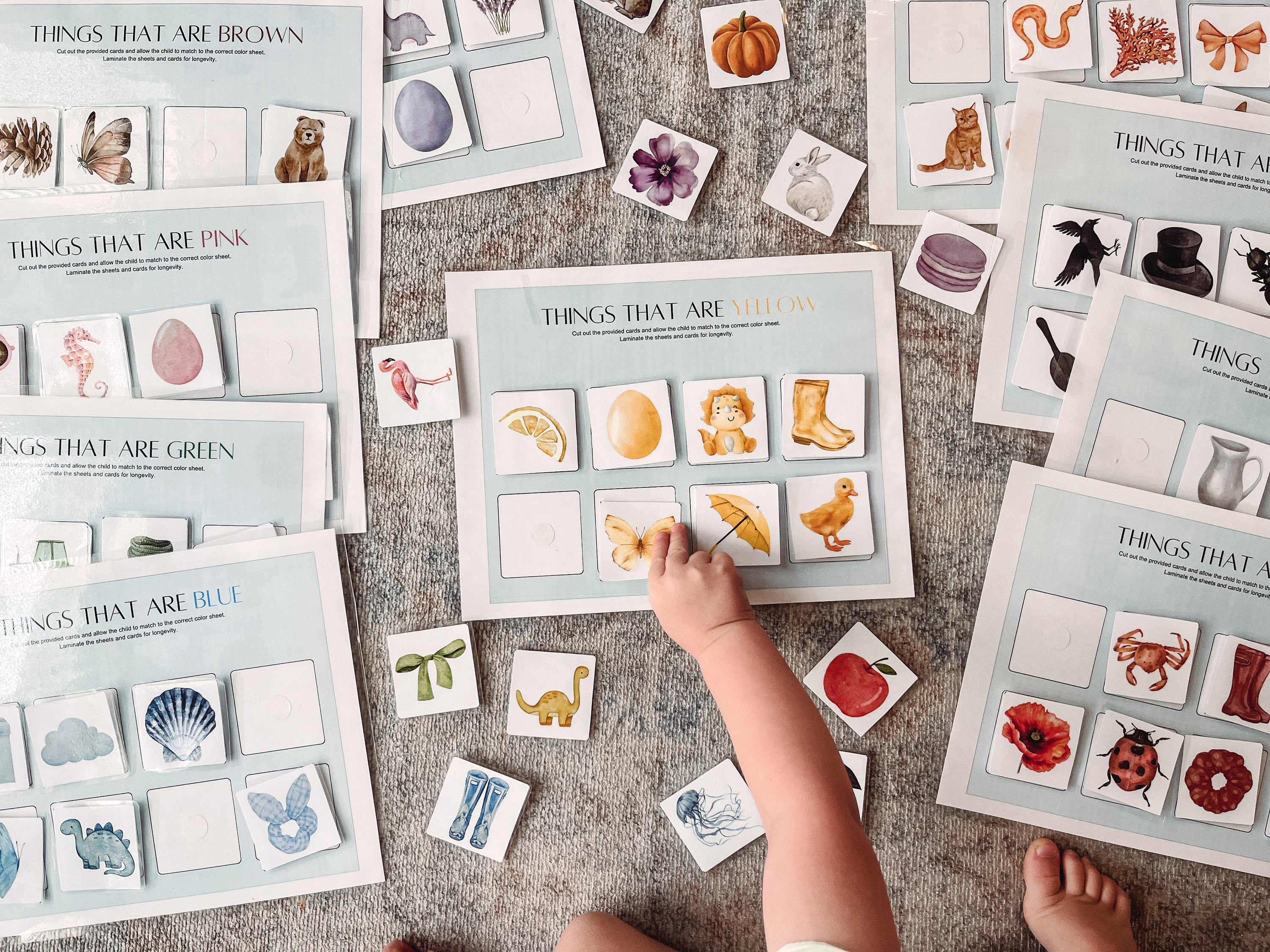 Color Sorting Toddler Activity Busy Binder Insert Homeschooling Lesson ...