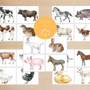 Farm Animal Matching Cards - Set of 20 - Preschool and Toddler Learning ...