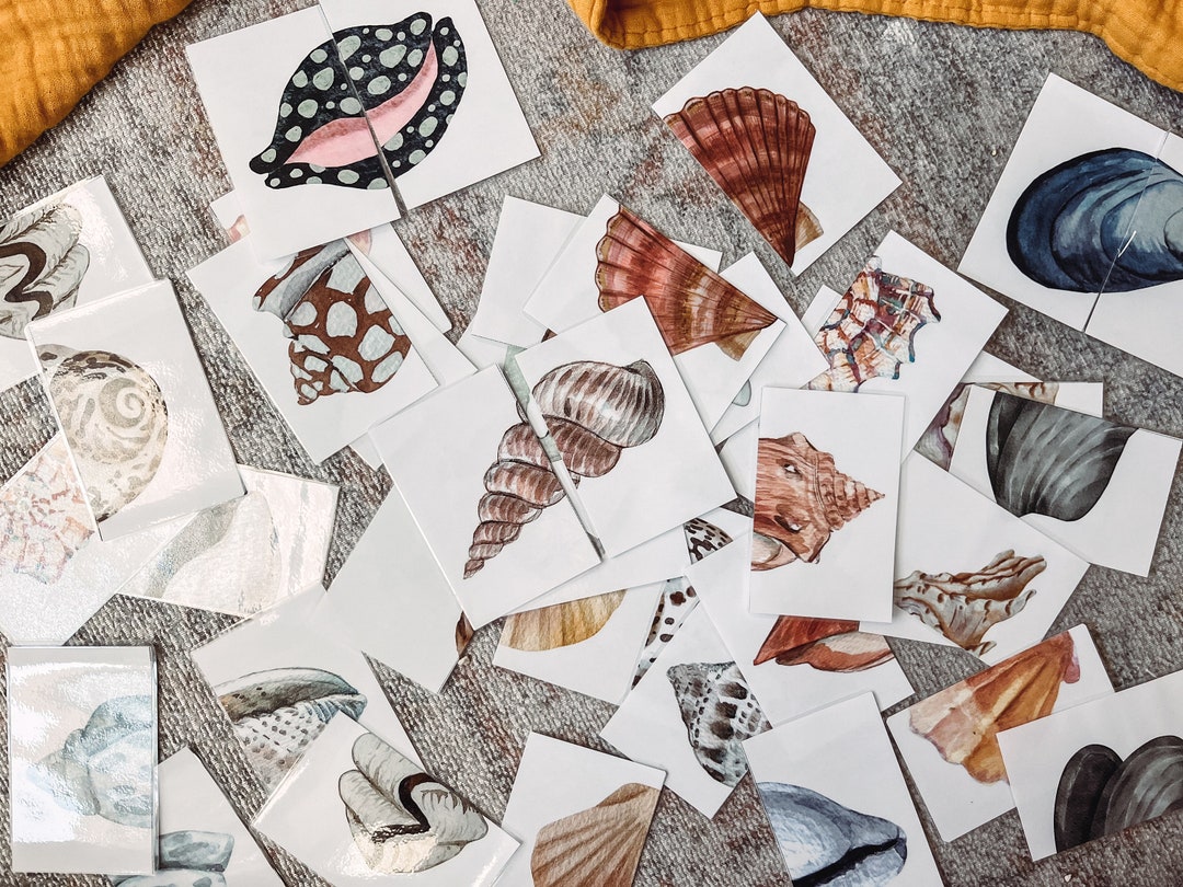 Seashell Card Matching Activity for Toddlers Learning Game for ...