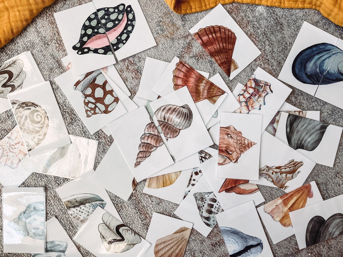 Matching Cards - Seashell Set of 20 - Toddlers Learning Game ...