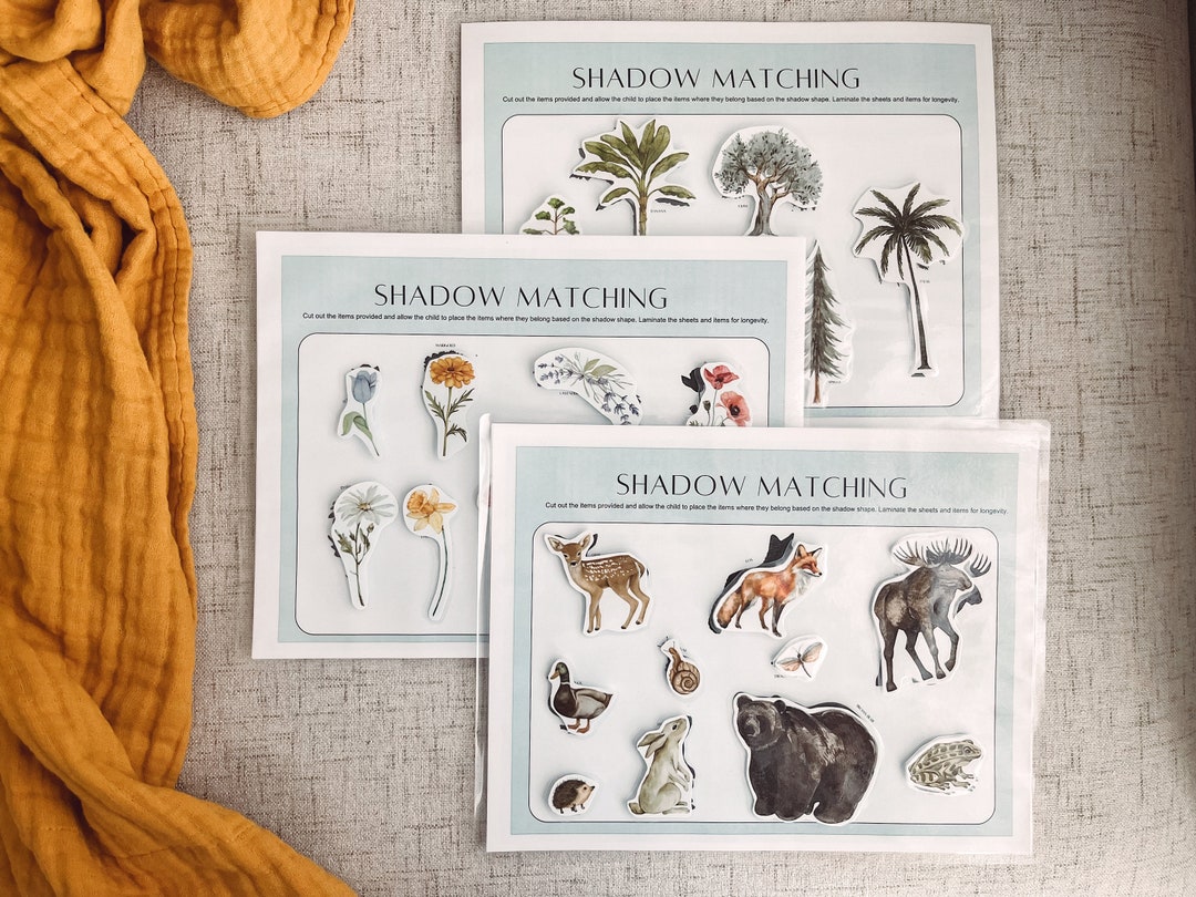 Busy Binder Insert - Shadow Matching Activity - Toddler and Preschooler ...