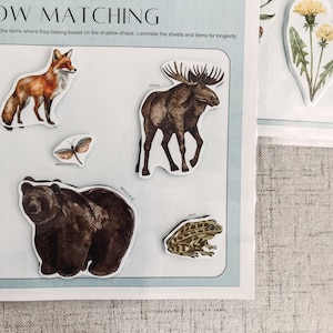 Busy Binder Insert - Shadow Matching Activity - Toddler and Preschooler ...