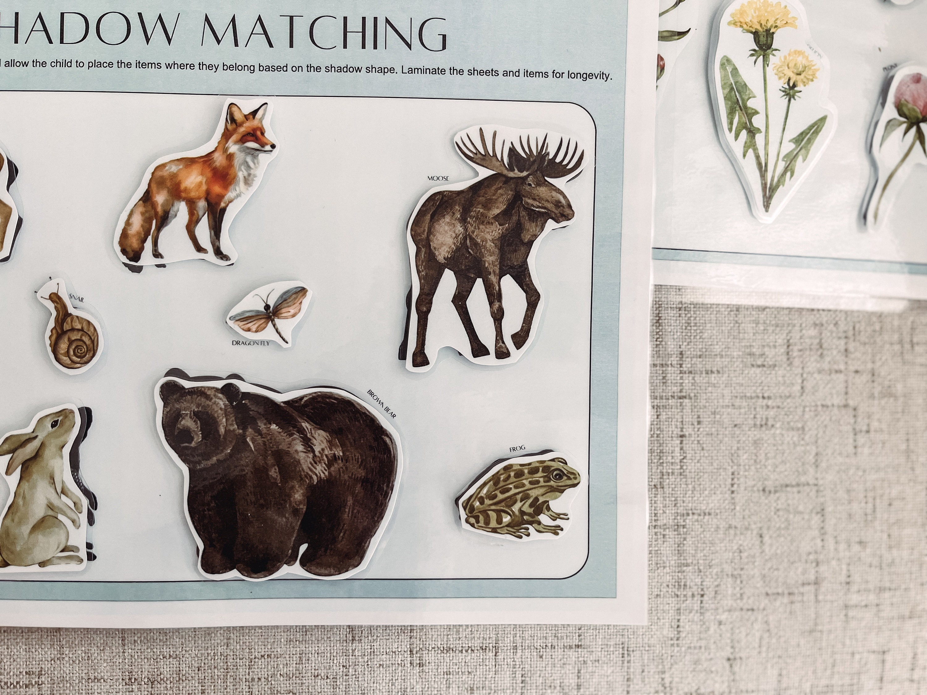 Busy Binder Insert Shadow Matching Activity Toddler and Preschooler ...