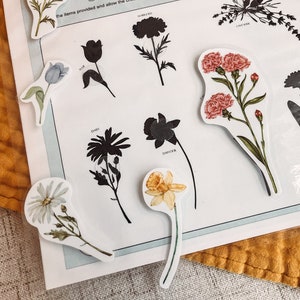 Busy Binder Insert - Shadow Matching Activity - Toddler and Preschooler ...