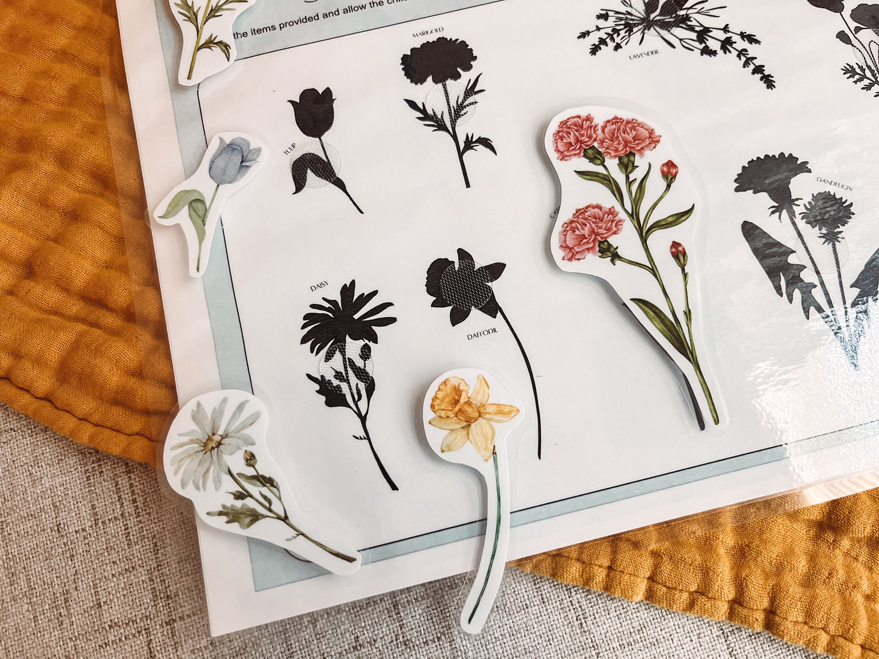 Busy Binder Insert - Shadow Matching Activity - Toddler and Preschooler ...