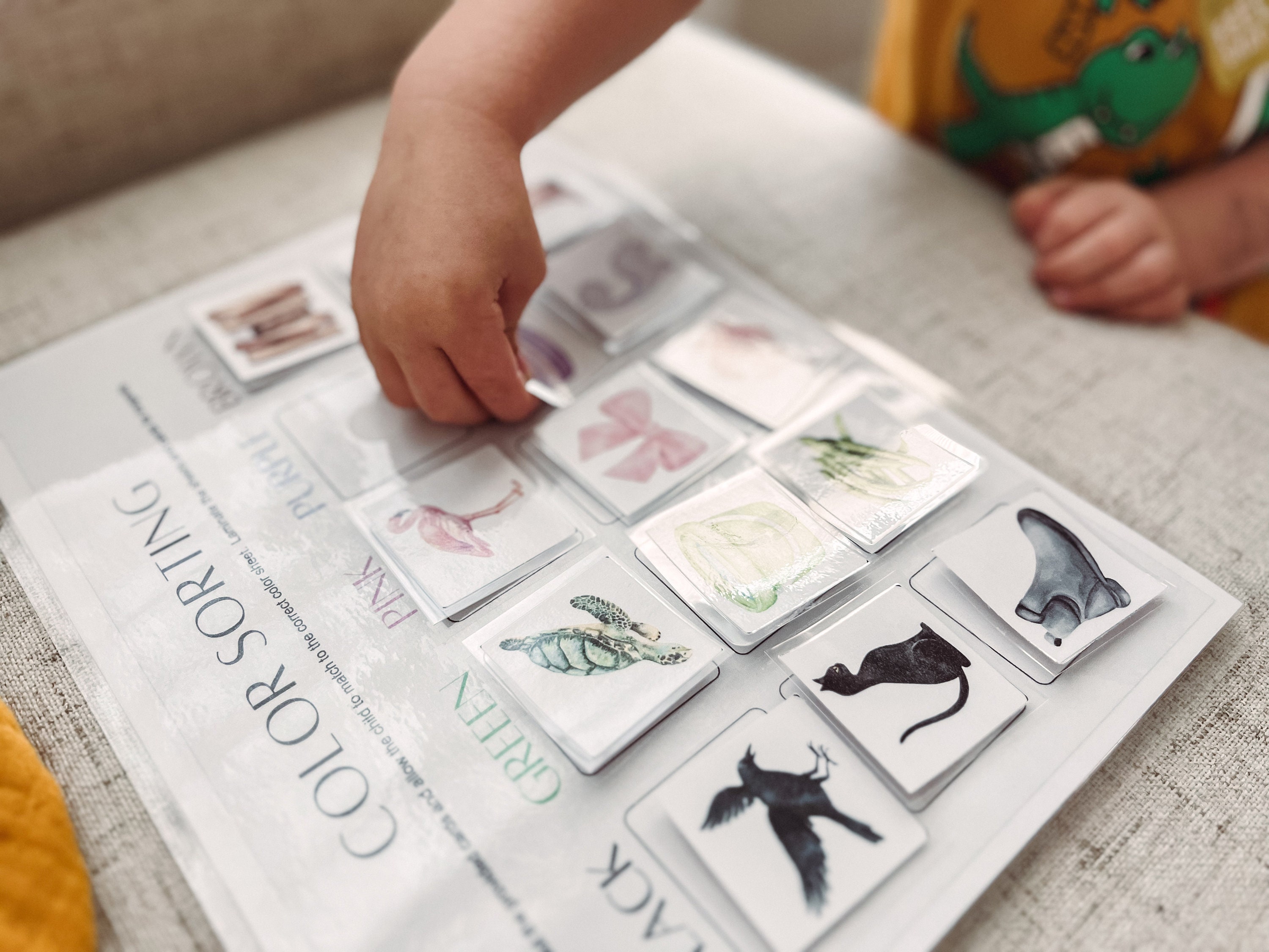 Color Sorting Activity Busy Binder Insert Preschool Curriculum ...