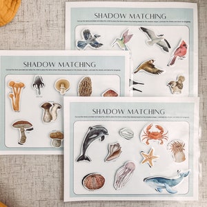 Busy Binder Insert - Shadow Matching Activity - Toddler and Preschooler ...