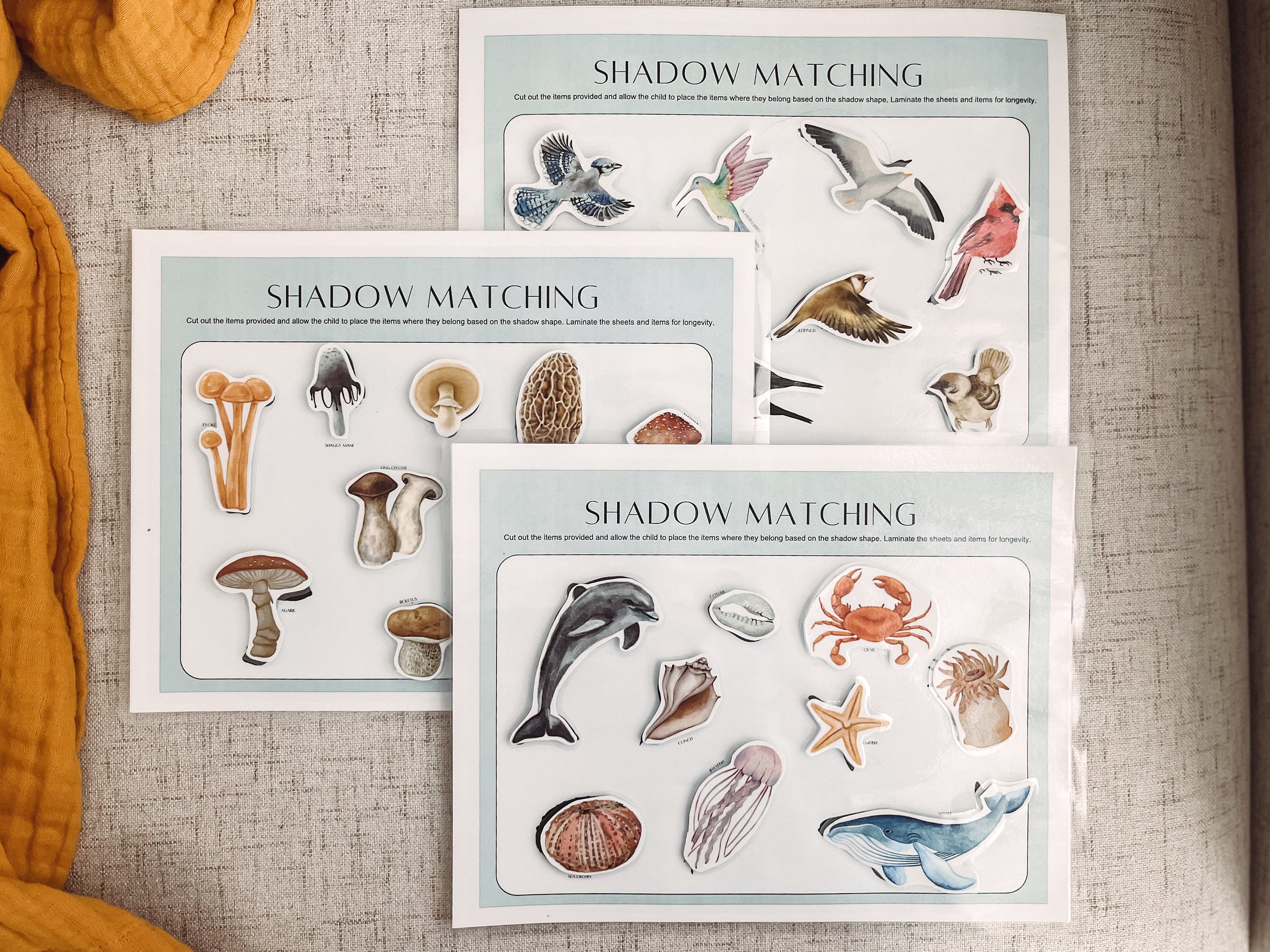 Busy Binder Insert Shadow Matching Activity Toddler and Preschooler ...