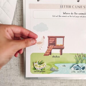 Letter C Unit Study - Letter Reorganization, Writing and Counting ...