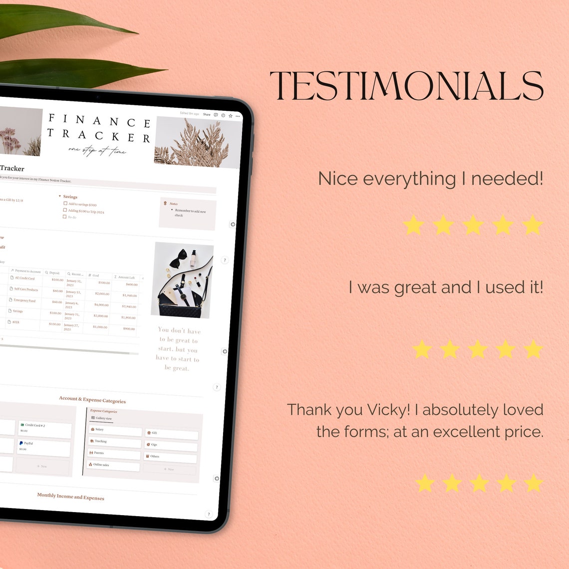 Notion Aesthetic Monthly Finance Tracker Debt and Expense - Etsy