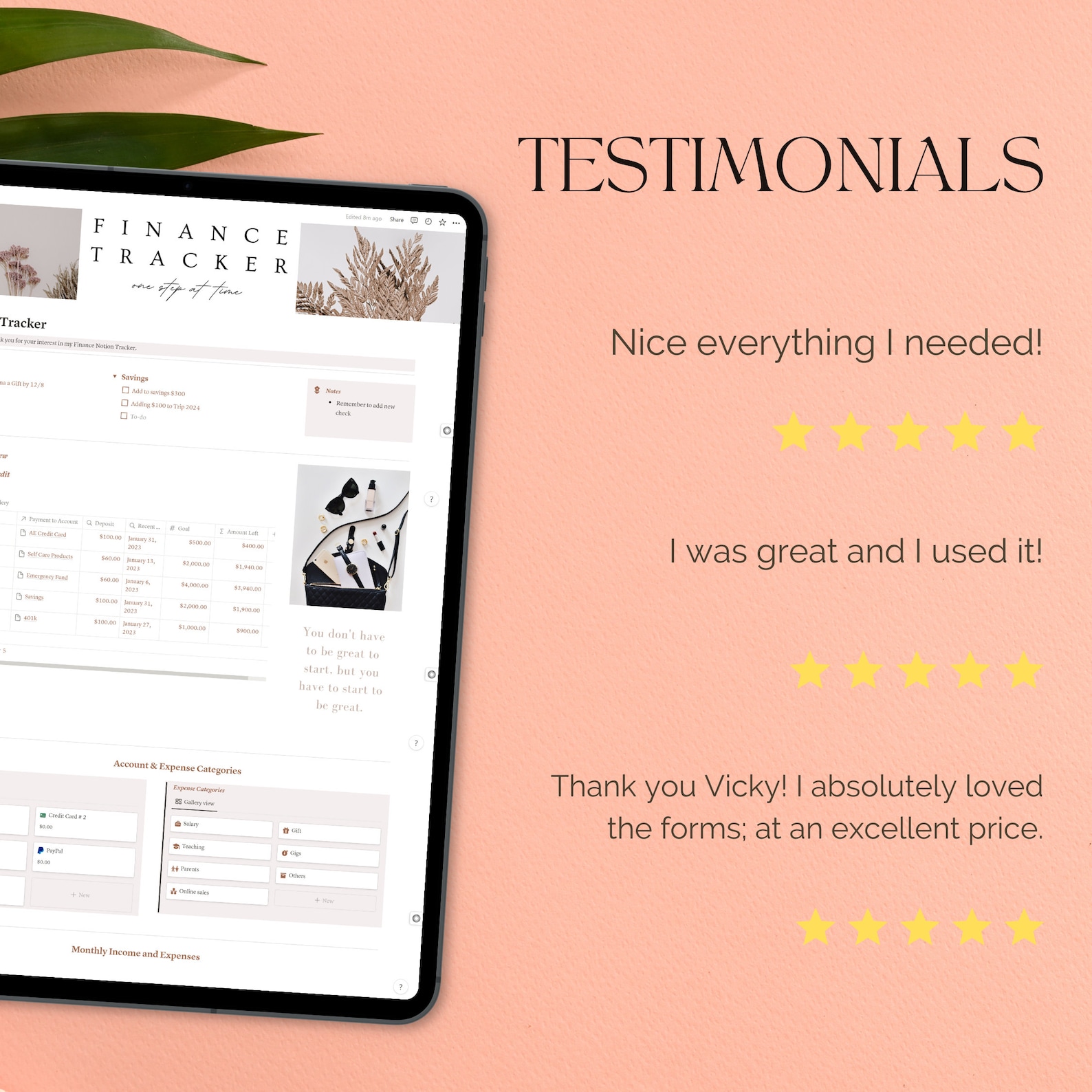 Notion Aesthetic Monthly Finance Tracker, Debt and Expense Tracker ...
