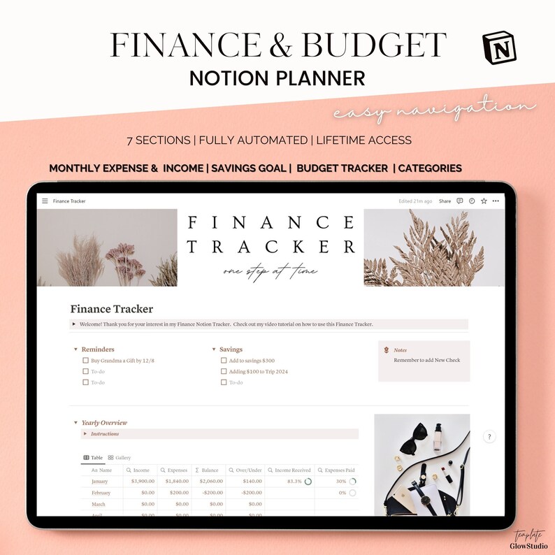 Notion Aesthetic Monthly Finance Tracker Debt and Expense - Etsy