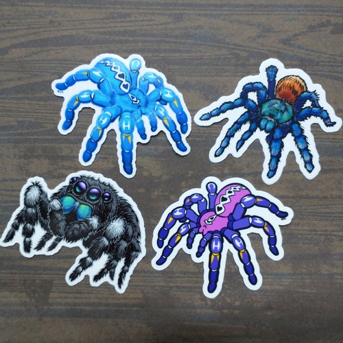 Jumping Spider Sticker - Etsy