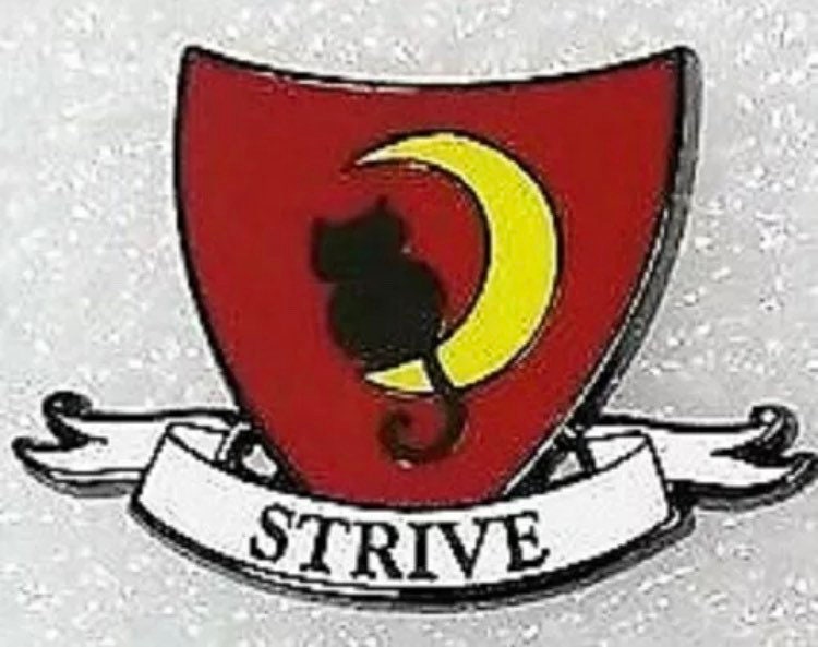 Strive Mildred Hubble, Worst Witch School Uniform Enamel Badge. Fancy ...