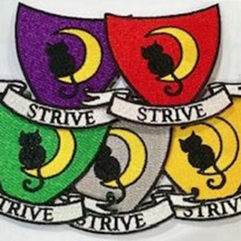 Worst Witch Badge - Etsy UK