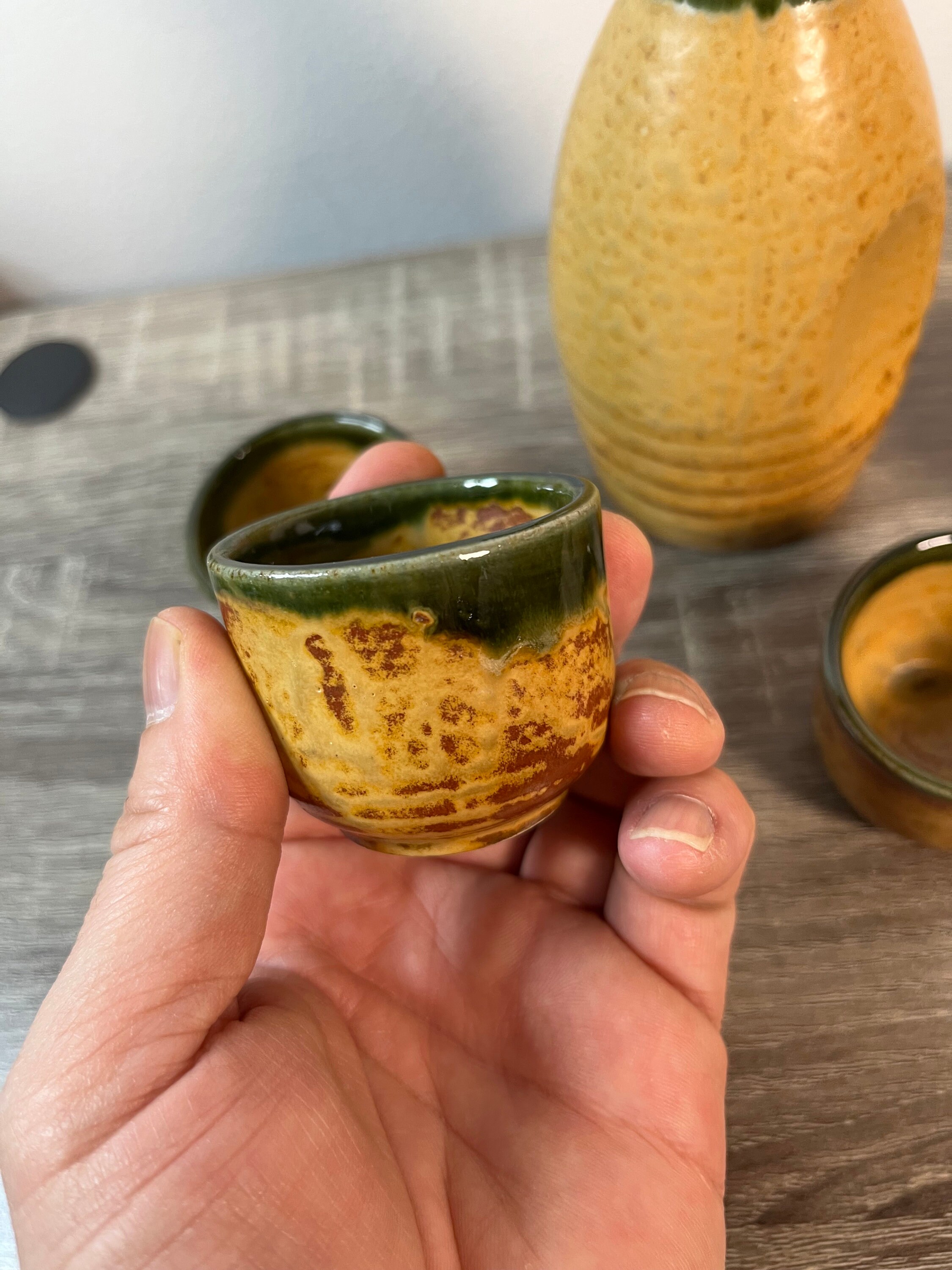 Sake Set, Tan With Dark Green Rim, Handmade in Japan - Etsy