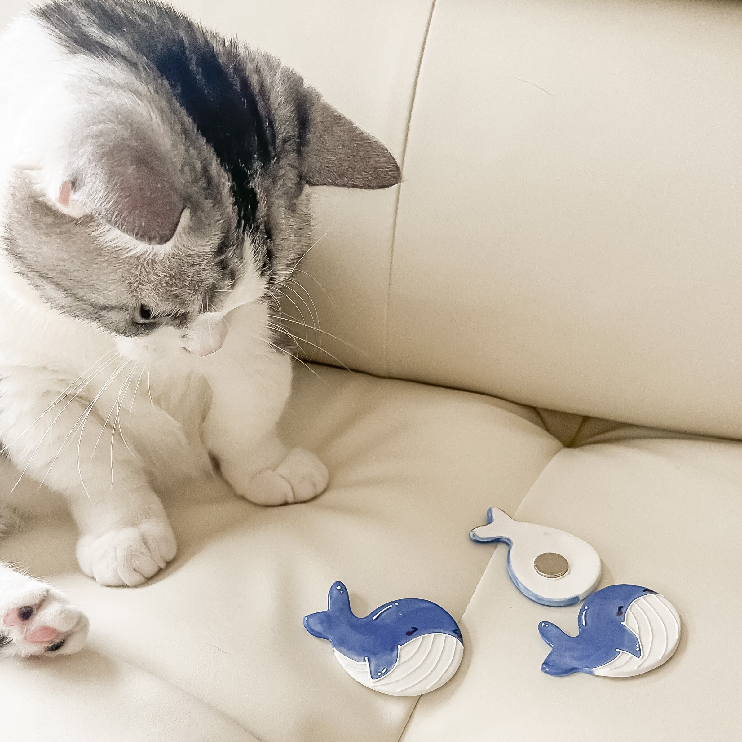 Whale Magnets Set of 3, Decorative Magnets, Ceramic Fridge Magnets Cute ...