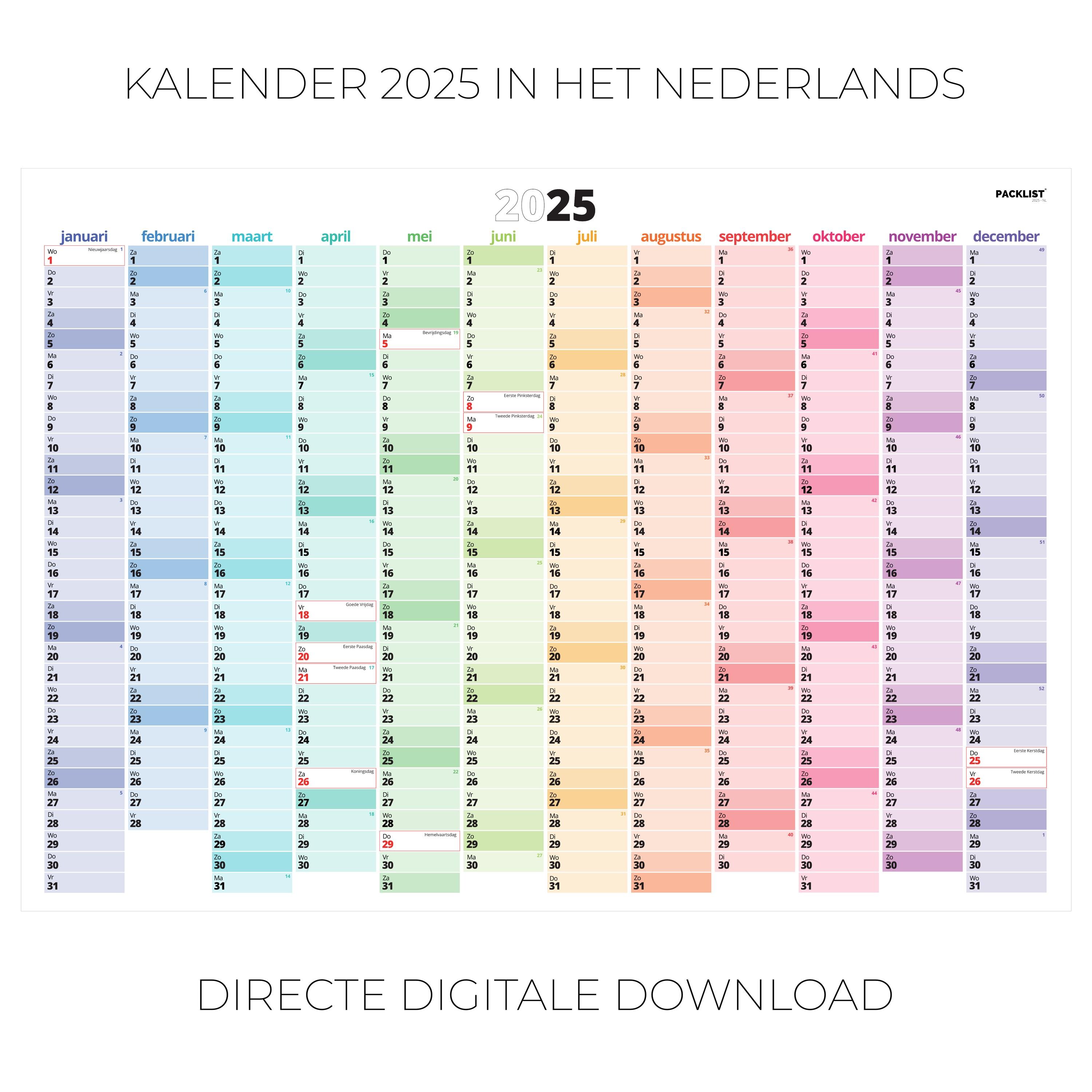 PRINTABLE 2025 Dutch Wall Calendar With Netherlands Holidays | Digital ...