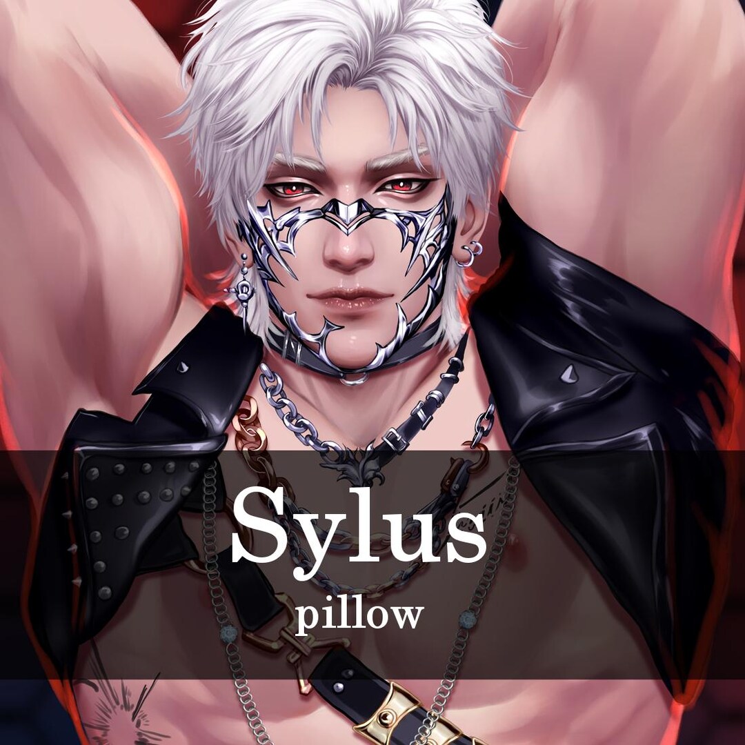 Love and Deepspace Sylus シン、진운 Pillow Fan Made - Etsy