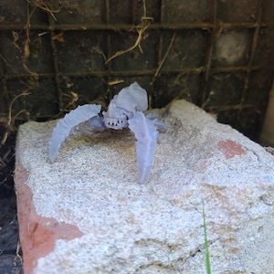 Glyphid Crew of DEEP ROCK GALACTIC - Etsy