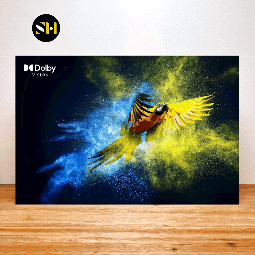 Dolby Vision Parrot | Yellow & Blue | Printed Sign | Home Theatre Signs ...