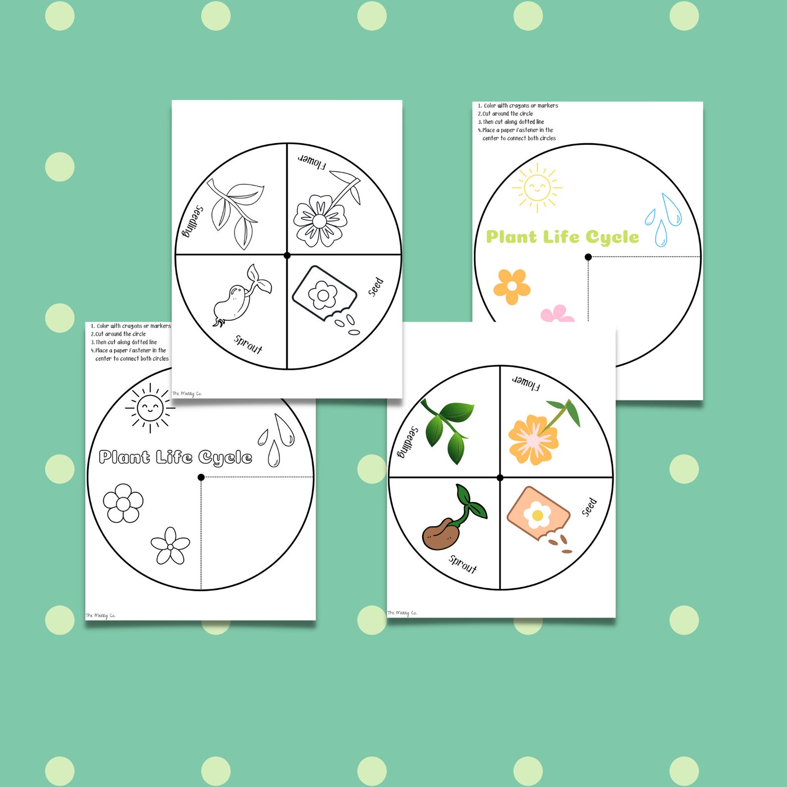 All About Plants, Flower Life Cycle, Preschool Kindergarten Learning ...