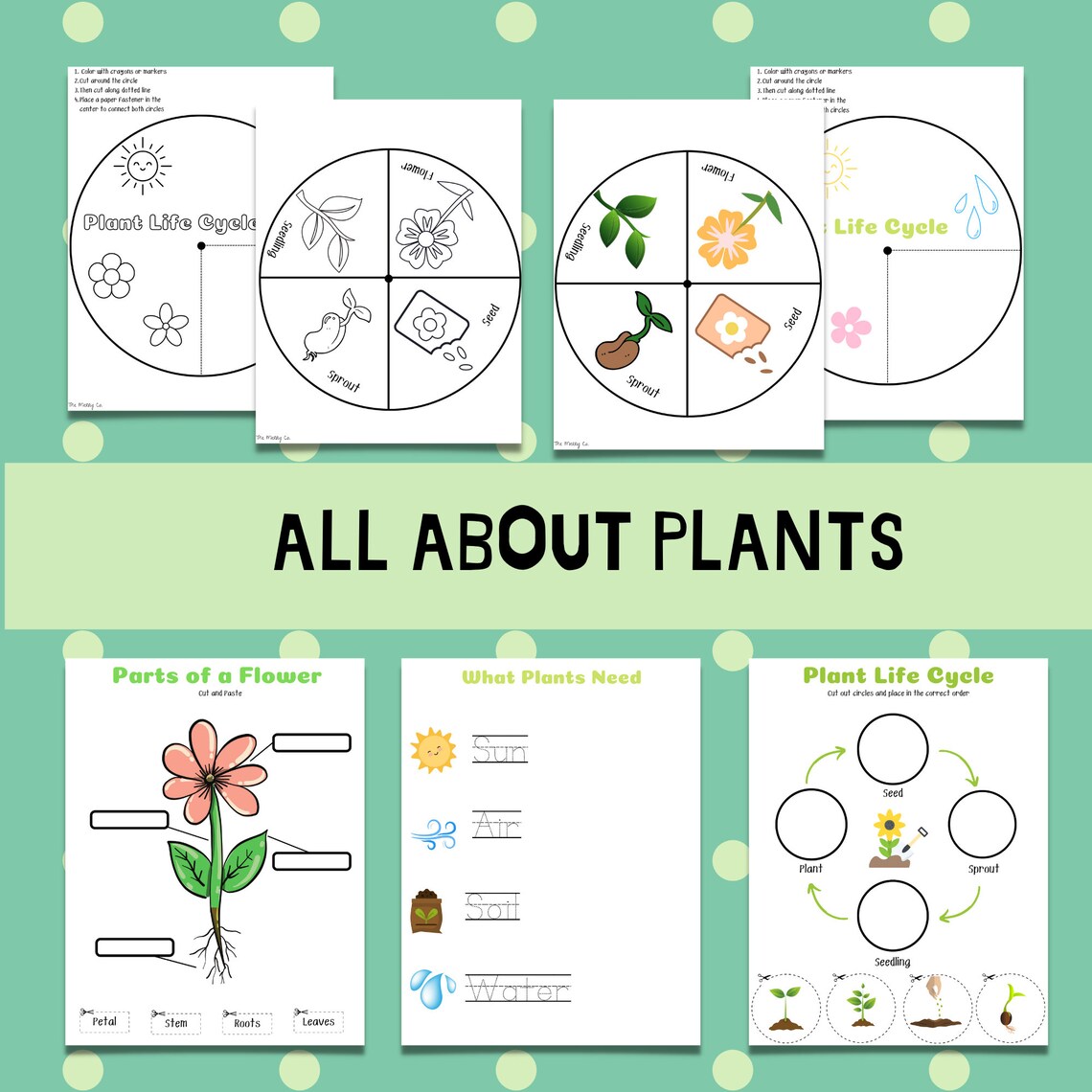 All About Plants, Flower Life Cycle, Preschool Kindergarten Learning ...