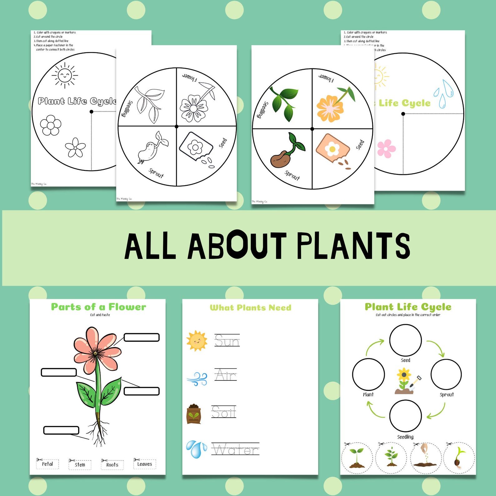 All About Plants, Flower Life Cycle, Preschool Kindergarten Learning ...