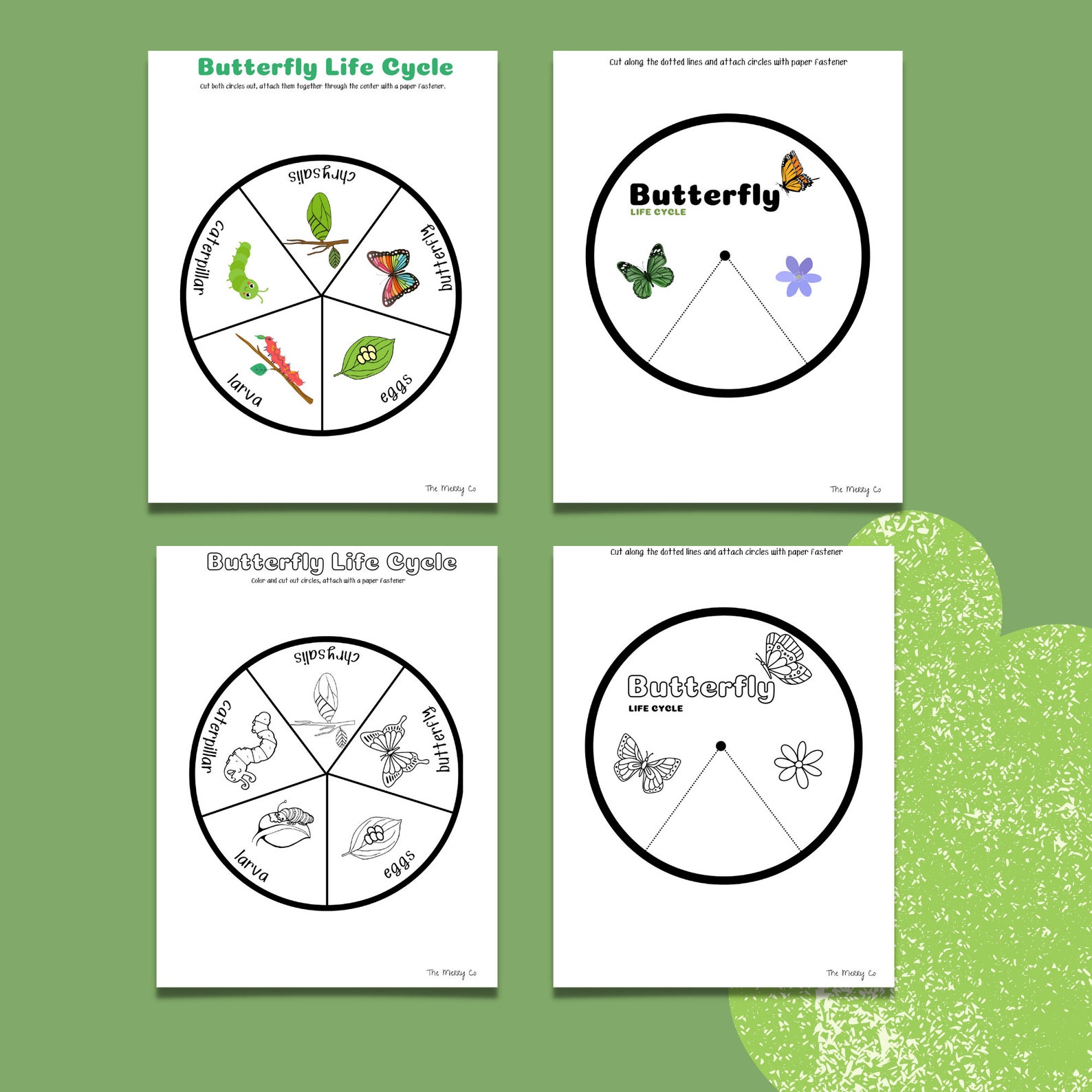Butterfly Life Cycle Printable Activity, Kids Coloring Page, Science ...