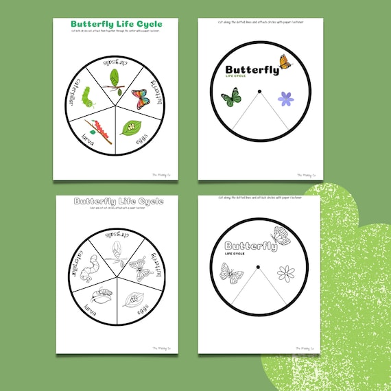Butterfly Life Cycle Printable Activity Kids Coloring Page | Etsy