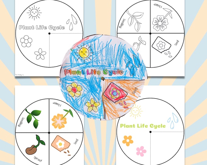 Life Cycle of a Plant, Homeschool Science Unit Activity, Sequencing ...