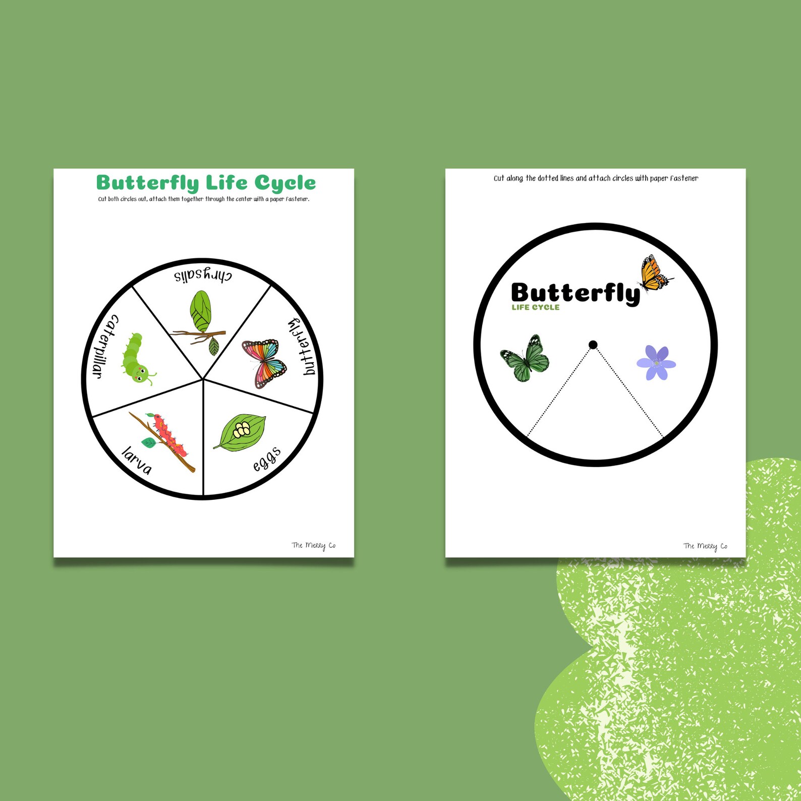 Butterfly Life Cycle Printable Activity, Kids Coloring Page, Science ...