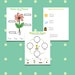 All About Plants, Flower Life Cycle, Preschool Kindergarten Learning ...