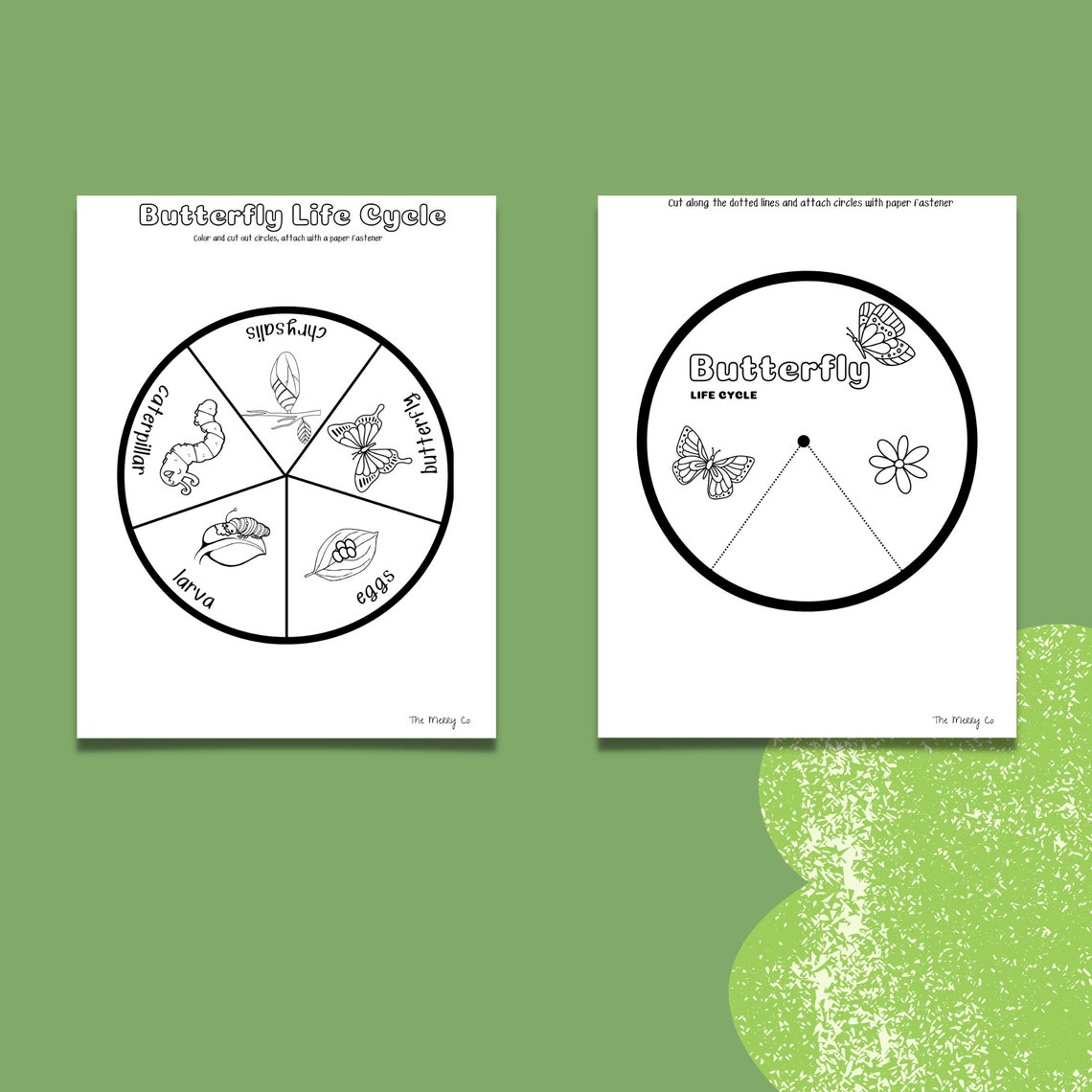 Butterfly Life Cycle Printable Activity, Kids Coloring Page, Science ...