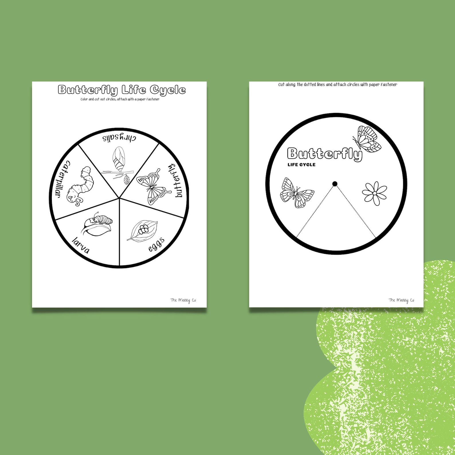 Butterfly Life Cycle Printable Activity, Kids Coloring Page, Science ...