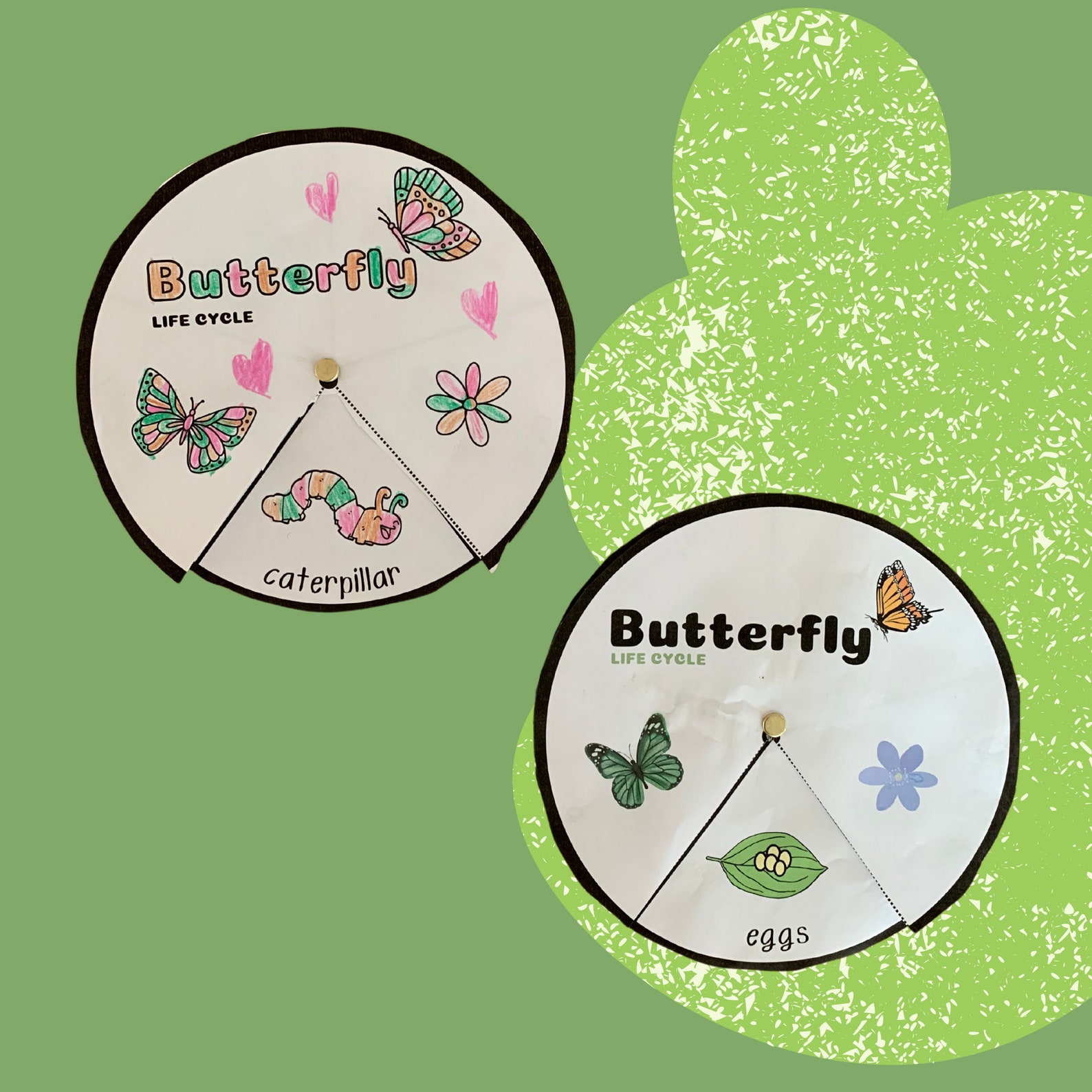 Butterfly Life Cycle Printable Activity, Kids Coloring Page, Science ...