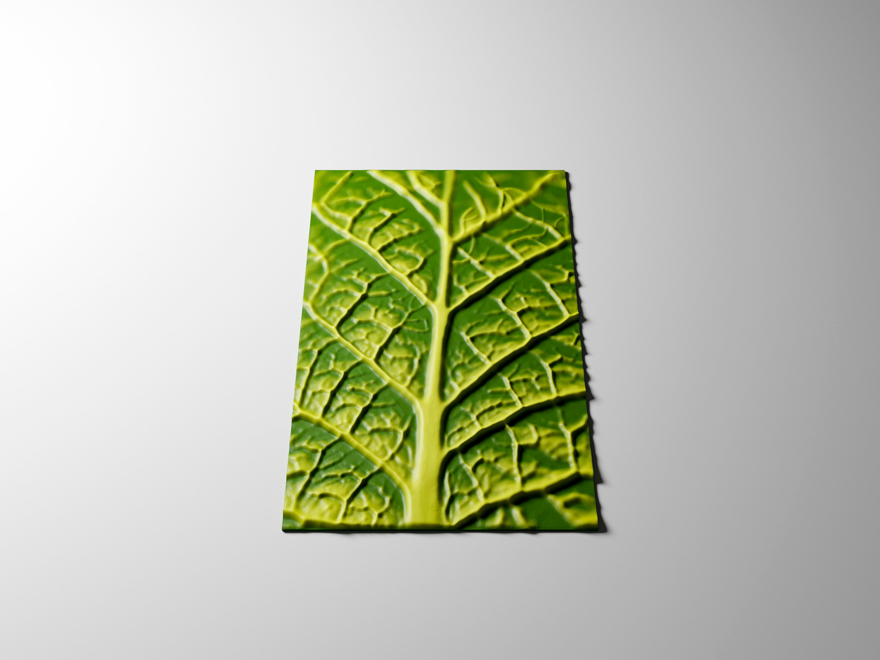 CNC Stl File for Wood Relief Carving, 3D Wall Art Leaf Texture. TP9 - Etsy