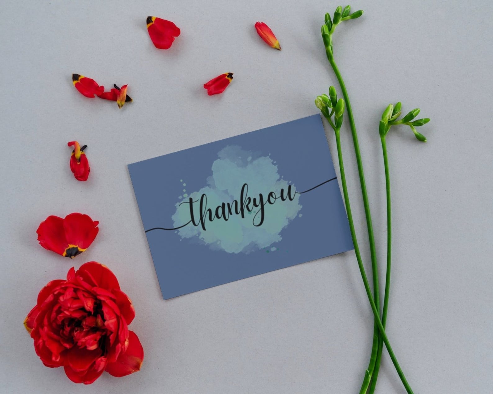 Printable Thank You, Card, Printable Card Digital Download, Digital ...